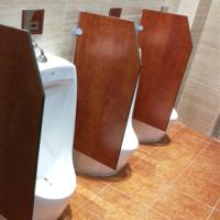 China Non Toxic HPL Toilet Partitions 12mm 18mm for Kindergarten School Bathroom Cubicle for sale