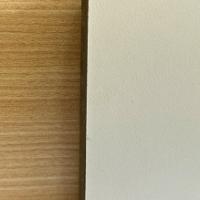 China Non Toxic Phenolic Compact Laminate 12mm 25mm Waterproof HPL Board for Hotel Toilet for sale