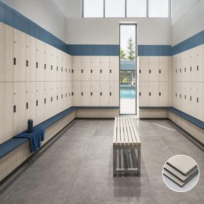 China Commercial HPL Compact Laminate Lockers | Moistureproof Impact Resistant Storage for Gym & Public Areas for sale
