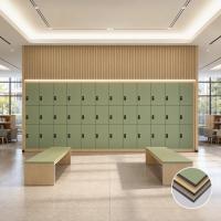 China Commercial HPL Compact Laminate Lockers | Moistureproof Impact Resistant Storage for Gym & Public Areas for sale