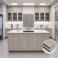 China Durable Phenolic Lab Countertop Cabinet, Moisture Proof HPL Laboratory Furniture for School & Hospital Labs for sale