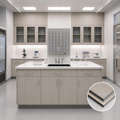 China Durable Phenolic Lab Countertop Cabinet, Moisture Proof HPL Laboratory Furniture for School & Hospital Labs for sale