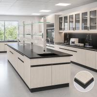 China Chemical Resistant Epoxy Resin Lab Countertops | HPL Phenolic Resin Lab Workbench for School & Research Laboratory for sale