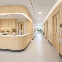China Antibacterial HPL High Pressure Laminate Panels, Impact Resistant Wall Cladding for Hospital Corridors, Easy to Clean & Stain Resistant for sale