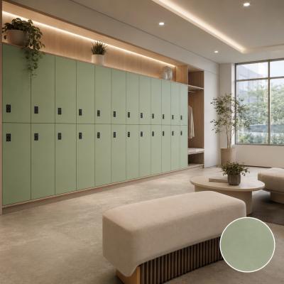China Compact HPL Phenolic Resin Locker Cabinet  Custom Compact Laminate Storage Lockers for Gym, Spa, Lab for sale