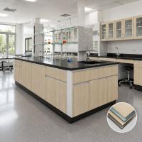 China Wood Grain Phenolic Resin Lab Worktop  Chemical Resistant Compact Laminate Lab Bench Top for sale