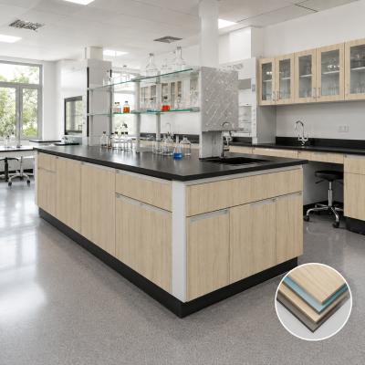 China Wood Grain Phenolic Resin Lab Worktop  Chemical Resistant Compact Laminate Lab Bench Top for sale
