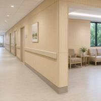 China Hygienic Compact HPL Wall Panel, Easy Clean Wall Cladding for Medical Facilities for sale