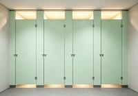 China Colorful HPL Compact Laminate Public Toilet Stall Partitions, Custom Phenolic Resin Washroom Divider Panels for Commercial Projects for sale