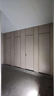 China Commercial Grade Floor-to-Ceiling Compact Laminate (HPL) Toilet Partition Wall, Customizable Restroom Cubicle Solution for sale