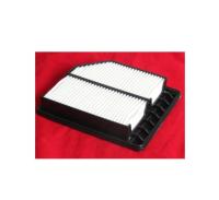 China AG 1738 Air Filters for Honda 17220-RFG-Y00 17220-RNA-A00 and Long-Lasting for sale