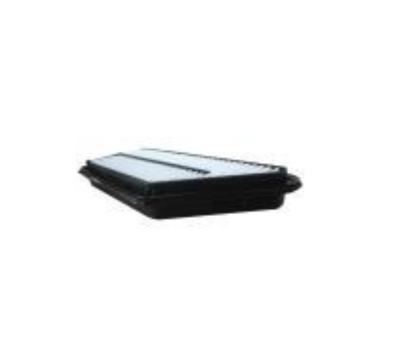 China TL Air Filter 17220-5A2-A00 17220-5A2-A00 17220-RRA-Y00 17220-P13-000 for Honda 1990-2012 for sale