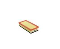 China Peugeot/Citroen C2859 1542777 C25117/2 1444-W3 C33156/1 1444-T8 1444-P1 1444-86 96144871 C3173 Air Filter for sale