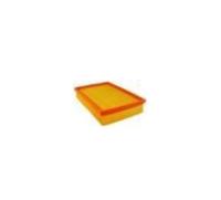 China Peugeot/Citroen C2859 1542777 C25117/2 1444-W3 C33156/1 1444-T8 1444-P1 1444-86 96144871 C3173 Air Filter for sale