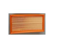 China Free Sample Air Filter C38130 for Peugeot/Citroen 1444.QW 1444 QX 1444.EQ for sale
