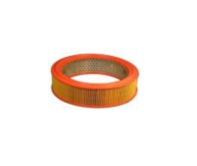 China FIAT C2443 1498427 CA660 2101110910002 CAR AIR FILTER for Enhanced Engine Protection for sale