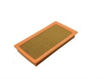 China Car Fitment BMW Air Filter Replacement FA1883 FA1884 C2788 97VB9601AA 1023134 Durable for sale