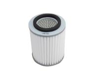 China BUICK/GM Car Air Filter Replacement 13780-79201 C1380/113780-79100 13780-79210 17801-87804 for sale