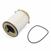 China Oem Factory Wholesale Fuel Filters 68157291AA WF10255NP 5260529 68157231AA For Dodge Ram for sale