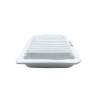 China High Performance OEM Air Cleaner Filter 243x176x51mm for Car Accessories for sale