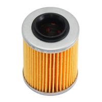 China OEM Quality Oil Filter Model 0800-011300 for ATV/UTV with Dry Pattern for sale