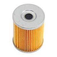 China OEM Quality Oil Filter Model 0800-011300 for ATV/UTV with Dry Pattern for sale