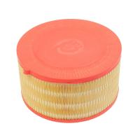 China OEM Compatible High-Efficiency Auto Air Filter for Ford Ranger 2.2 TDCI with Paper Core for sale