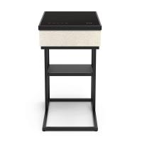 China Modern Smart End Table With Wireless Charging Speaker Color Changing LED Lights for sale