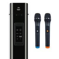 China Active Karaoke Tower Speaker 800W Portable PA System With Wireless Mic for sale