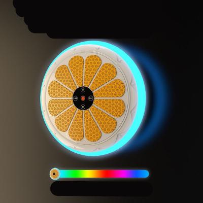 China Wall Mount Bluetooth Speaker with RGB Ambient Light, TWS Function, USB Audio Input, Multi‑Color Available, Mini Desktop Computer Speaker for Home Gaming Room for sale