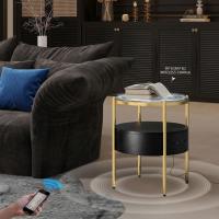 China Smart Home Furniture C9 30W RMS Charging Side Charger Wireless Charging Modern Living Room for sale