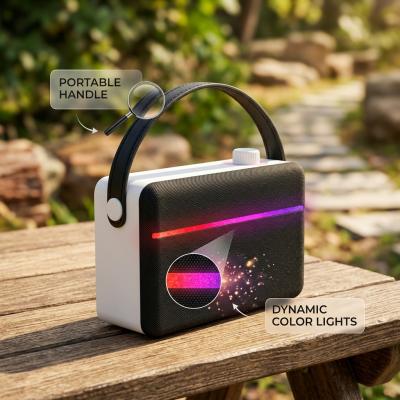 China Wireless Portable Bluetooth Speaker ZYK6607 20W Karaoke RGB Hand‑carry Outdoor Party for sale