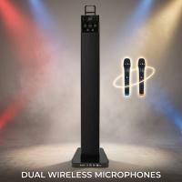 China Home Karaoke Speaker AT620 80W RMS Tower 3