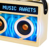 China Private label Wireless Portable Bluetooth Speaker ZYK6609 20W Karaoke RGB Outdoor Outdoor Party for sale