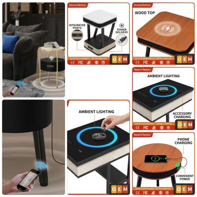 China Smart Home Furniture C9 30W RMS Tempered Glass Wireless Charging Modern Living Room for sale