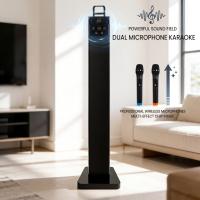 China Home Karaoke Speaker AT620 80W RMS 10