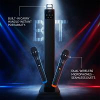 China Home Karaoke Speaker AT620 80W RMS 10