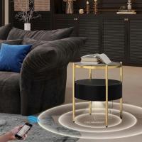 China Smart Home Furniture C11 10W RMS Charging MDF Wireless Charging Modern Living Room for sale