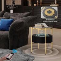 China Smart Home Furniture C9 30W RMS Multifunction Cafe Living Wireless Charging Modern Living Room for sale