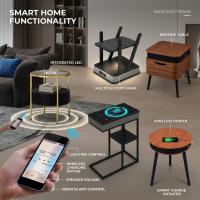 China Smart Home Furniture C9 30W RMS Multifunction Cafe Living Wireless Charging Modern Living Room for sale