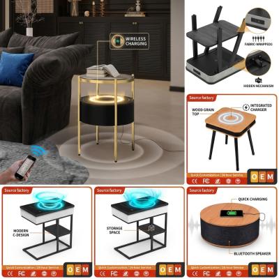 China Smart Home Furniture C11 30W RMS Living Room Wireless Charging Modern Living Room for sale