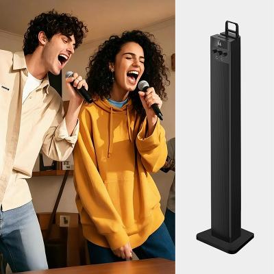 China Factory Direct Home karaoke Speaker Manufacturer 40W–120W OEM Customized Conference Speaker System for sale