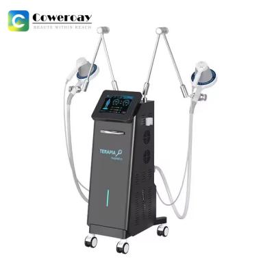 China Double Handles Electromagnetic And Laser Therapy Machine For Relieve Joint Pain for sale