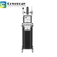 China 360 Degree Anti Aging Ice Cryo HIFU Therapy Wrinkle Remover Machine 4Mhz 110-220V for sale