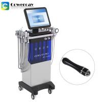 China 14 in 1 Hydro Dermabrasion Machine 300W Water Oxygen Jet Peel Facial Skin Cleaner for sale