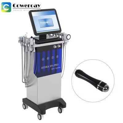 China 14 in 1 Hydro Dermabrasion Machine 300W Water Oxygen Jet Peel Facial Skin Cleaner for sale