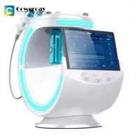 China 7 in 1 Hydrafacial Beauty Machine Small Bubble Hydro Oxygen Facial with 700mmHg Vacuum and 10.1 Inch Touch Screen for sale