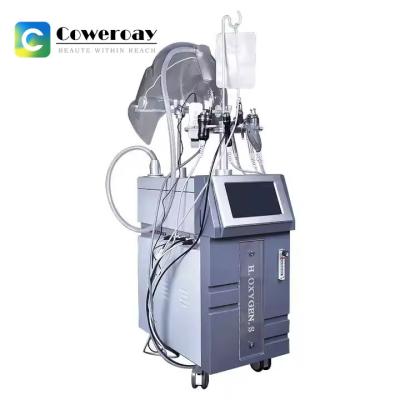 China 12 in 1 RF Facial Diamond Dermabrasion Hydro Beauty Machine 110V 220V Oxygen 95% for sale