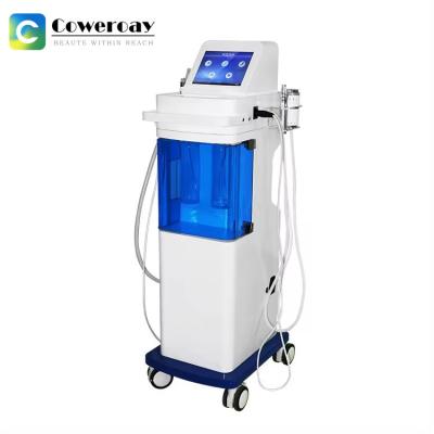 China 5 in 1 Hydro Facial Machine Oxygen Spray Gun Acne Treatment Hydra Dermabrasion 110V 220V for sale