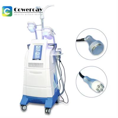 China Non Invasive Cryolipolysis Fat Freezing Machine 800W 9L Water Tank Body Sculpting for sale